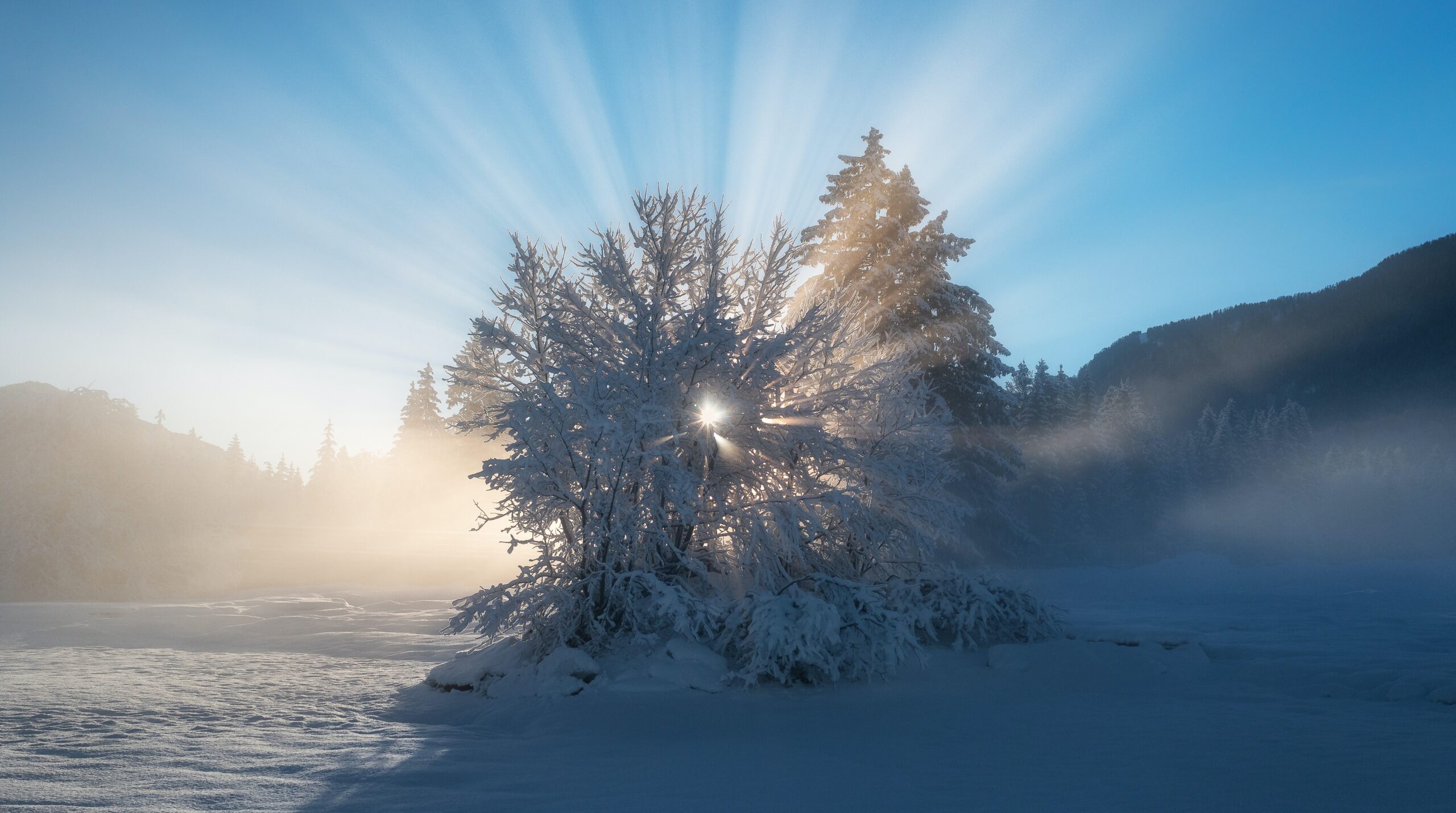 Winter Equinox Fundraiser: A Creative Approach for Nonprofits